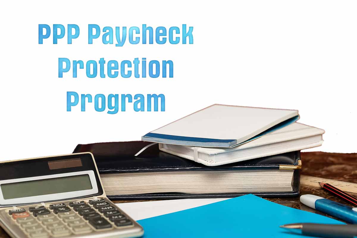 Paycheck Protection Program 2.0 Second Draw Income Reduction Calculator ...